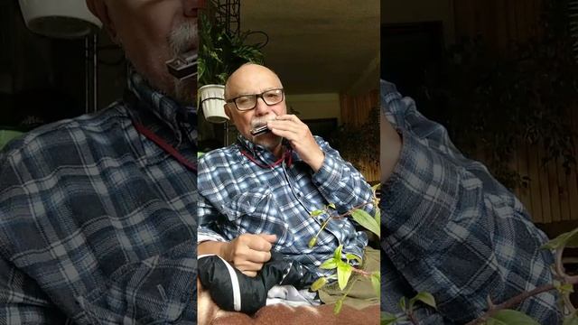 И.Истомин. Голубые канарейки