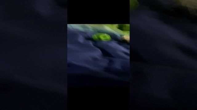 Скибиди астро 8