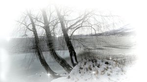Проект ПроШоу Продюсер "Зимняя сказка"