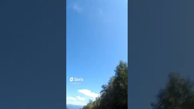 Посадка на дорогу в тайге #paragliding #горы