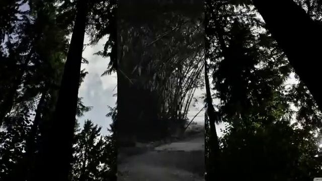 ВОЛК ПРОСЛАВЛЯЕТ БОГИНЮ НОЧИ. ВЕДЬМИНА ИЗБА.