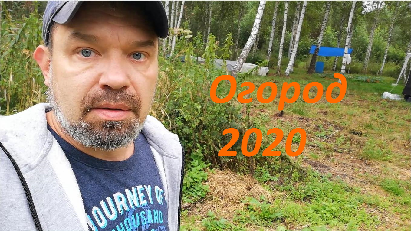 Огород 2020 / И как все было