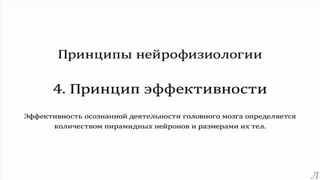 9.4 Принципы нейрофизиологии. Принцип эффективности