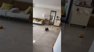 VID_20230801_222428_367
