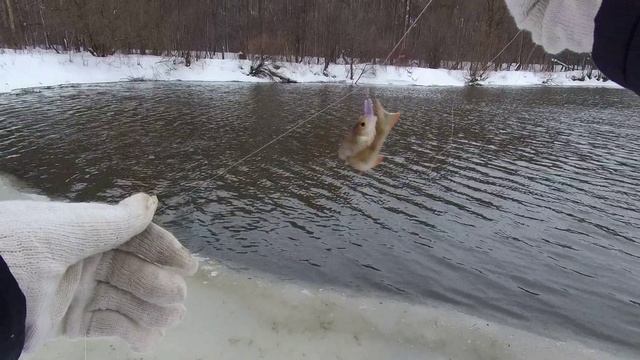 Февральская прогулка со спиннингом, на ультралайт.