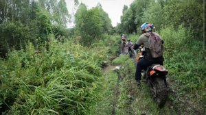 в поисках медведя, эндуро