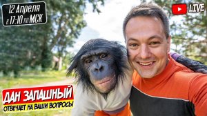 Стрим с Даном Запашным и шимпанзе Боней / Казахстан, Караганда 12.04.2024