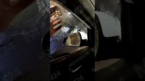 Декабрь решил шокировать москвичей зимним дождем - Москва 24
