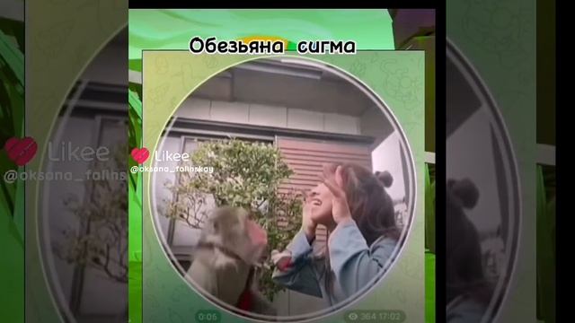 обезьяна ?