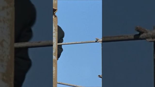 Мальчики, толкните телегу, здесь подъем