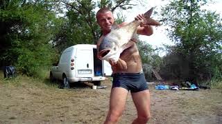 Думал все приеду с рыбалки по нулям. ?Толстолобик со дна ? ох блин порадовал.