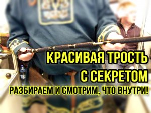 Красивая трость с секретом. Разбираем и смотрим, что внутри