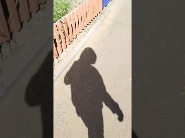 #домофон улица Павлова 1-10
