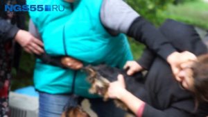 Не все ПСЫ попадают в РАЙ