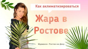 Жара в Ростове. Как аклиматизироваться.