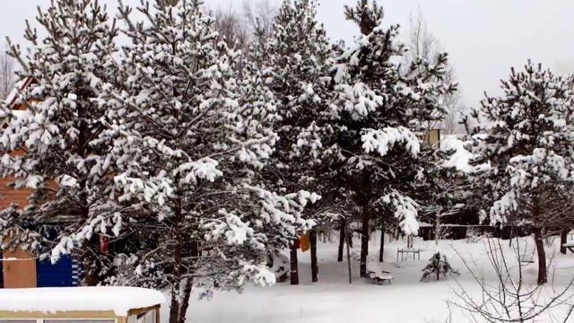 Снежный день.