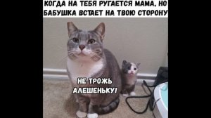 Мем!!!!!!!!!!!!!!!