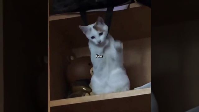 Когда снесли очередной канал...