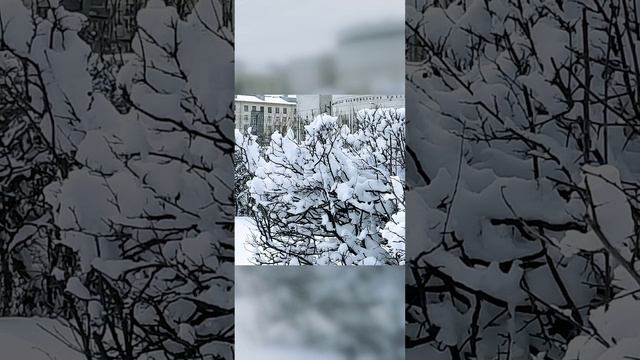 Парк. Зима. Март.