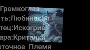 Мои персонажи КВ#cats #cw #warriors #воители #коты #котывоители #edit #эдит