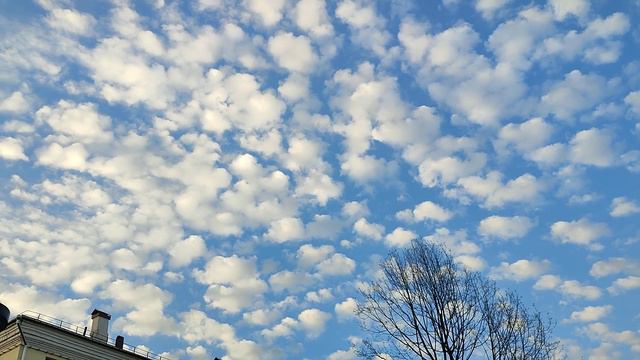 Чудесные облака 1 ноября 2023года. Кто же этот художник?