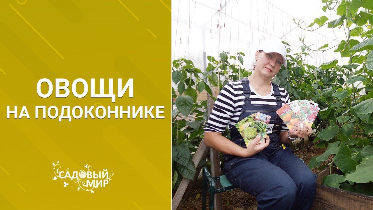 Растим овощи на кухне осенью и зимой. Огород на подоконнике!