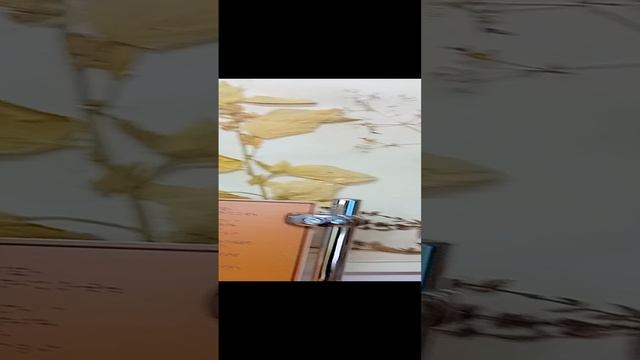 Краеведческий музей Курск