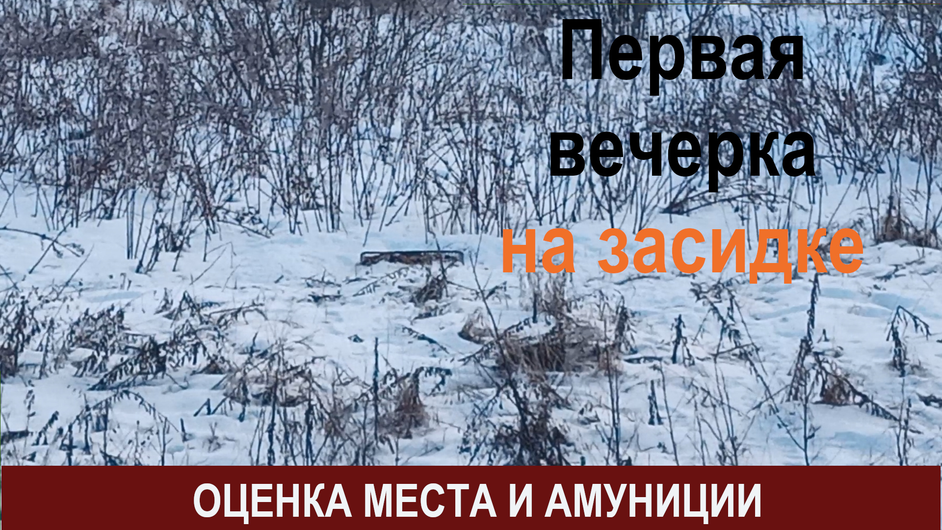 Перdая вечерка на засидке Оценка места и амуниции