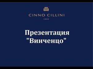 Модель "Винченцо"
