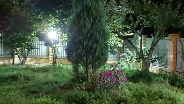 РОДОВАЯ КНИГА МЁРТВЫХ . СПАСЕНИЕ ДЛЯ МНОГИХ . для всех . ИНГА ХОСРОЕВА . ВЕДЬМИНА ИЗБА ?