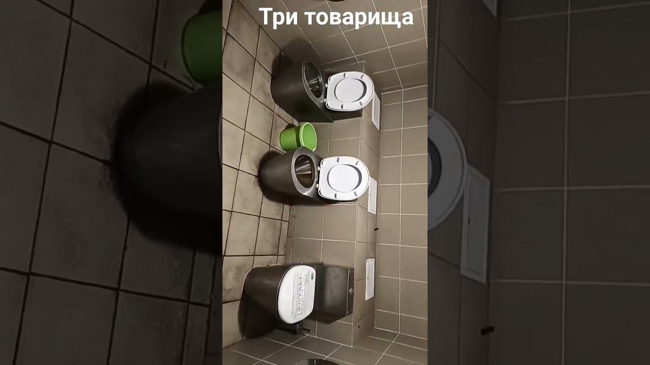 вместе весело нам с...ть