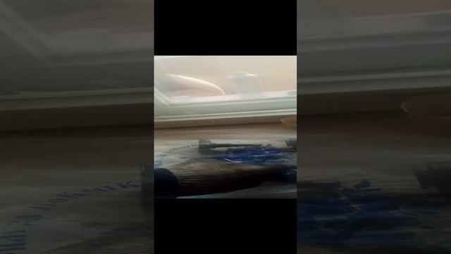 Бендекс стартера ,tyltrc cnfhnthf