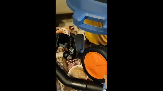 Наши обновки