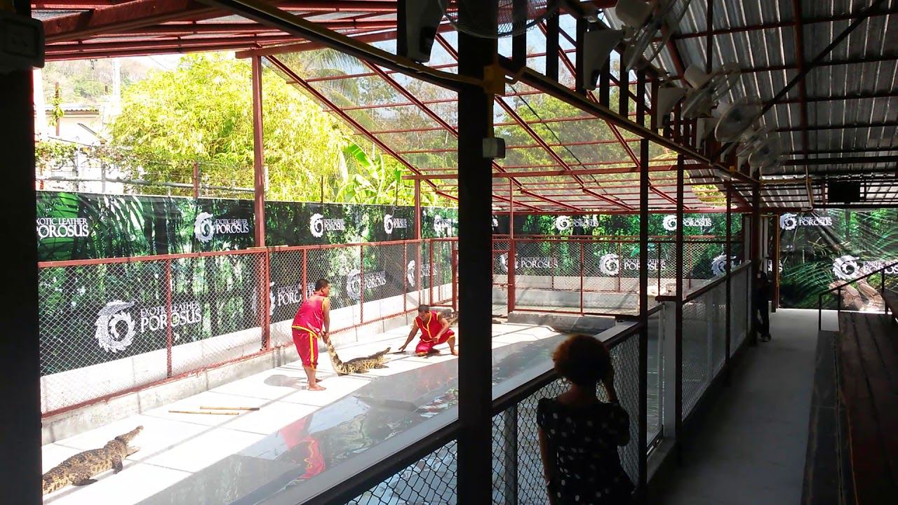 крокодилы Тайланд