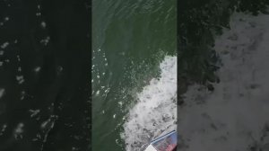 Дневник перехода на яхте 3 Ростов-на-Дону - Волгоград