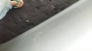 ipdm box sekring nissan grand livina L10