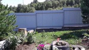 Поймал свой первый рой, первого июля 2018