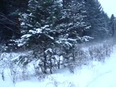 Сосновый БОР. Уральская зима. Январь 2018.