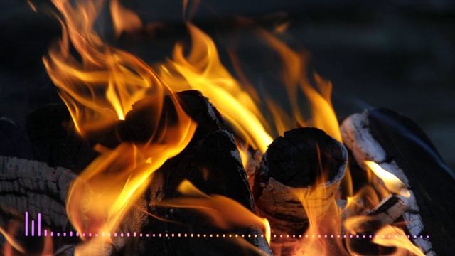Почувствуйте тепло природы и услышьте завораживающий звук потрескивающего на ветру костра