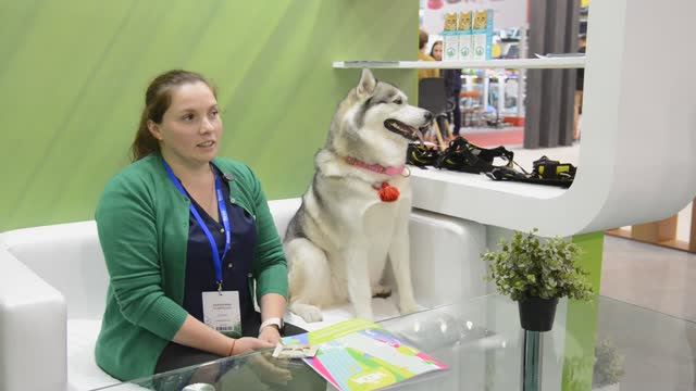 Мнение партнёров и покупателей о компании "ВЕДА"