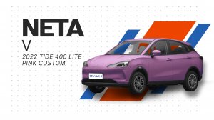 Neta V 2022 Tide 400 Lite Pink Custom