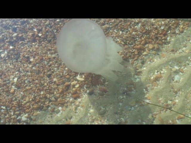 на море штиль-2