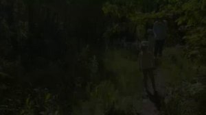 Безопасность на природе