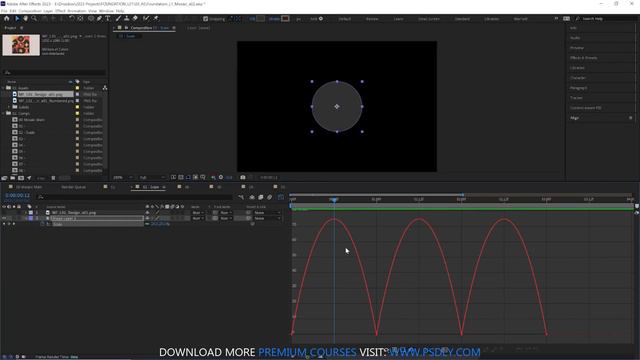 1.1 Scale + Speed Graph