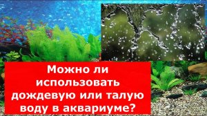 Можно ли использовать дождевую или талую воду в аквариуме