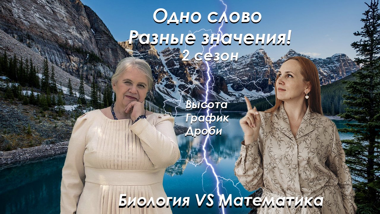 Одно слово, разные значения: высота, график, дроби