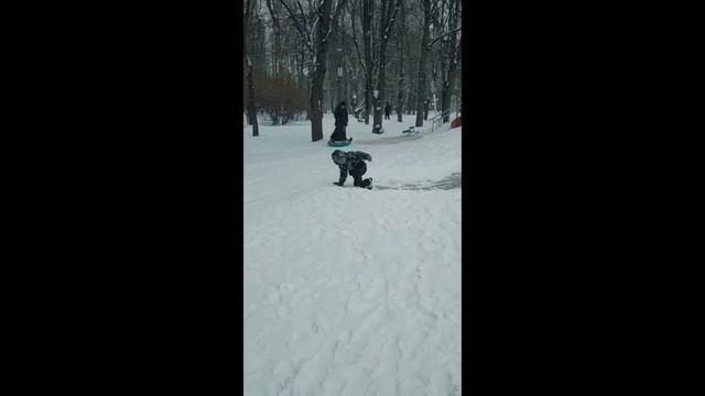 Парк Дубки 19.02.2023