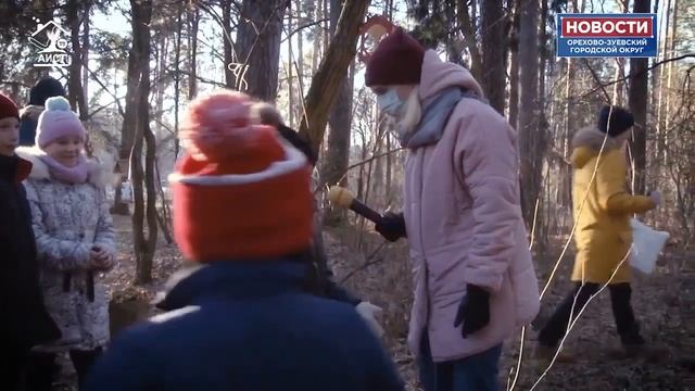 Птицеград