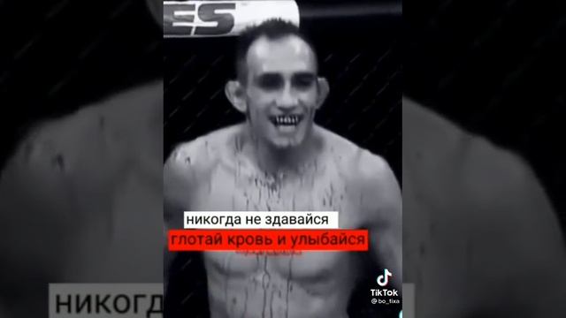 fb80ae3e14f537e5bd3f587f11bcc64a.mp4