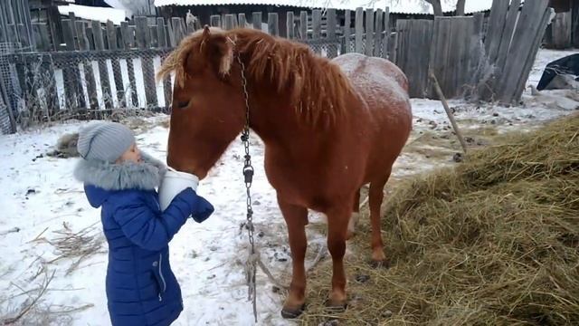 Сколько стоит содержать лошадь в деревне?